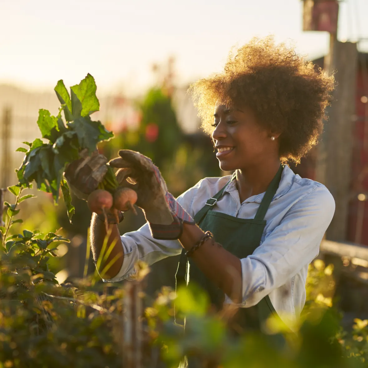 AgFirst partners with BRWIA to increase food access, support regional ...