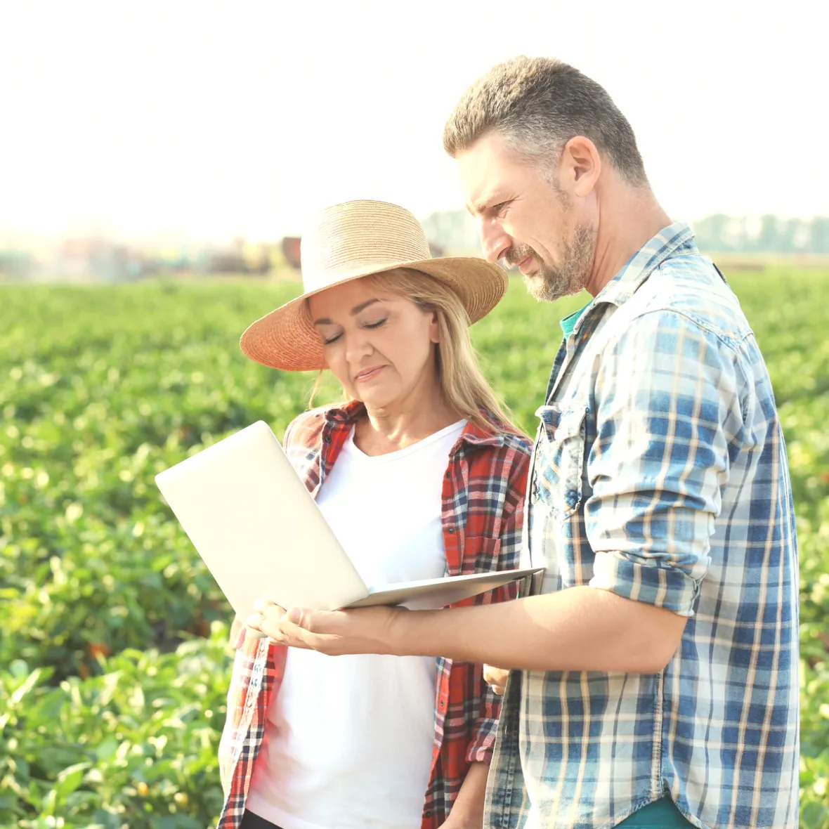 Farm Credit University offers leading educational ag opportunities ...