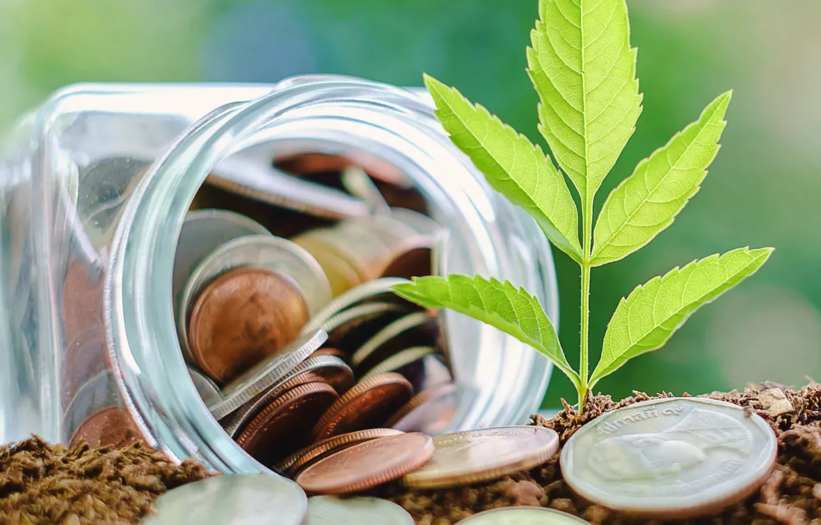 AgFirst announces patronage distribution of $394 million for 2020 ...