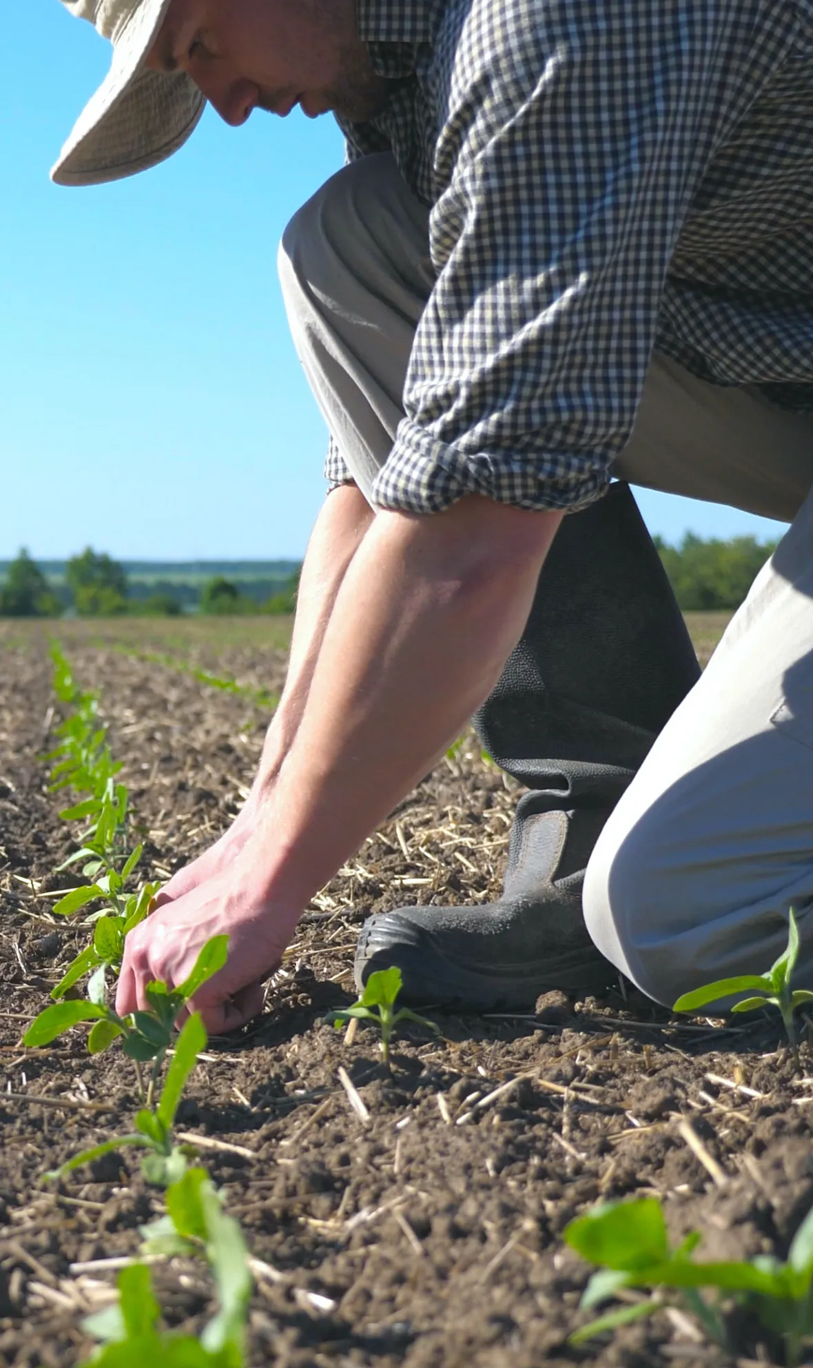 AgFirst, Association partners team to support businesses and the ...